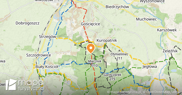 Święto Lasu - mapa szlaków turystycznych | mapa-turystyczna.pl
