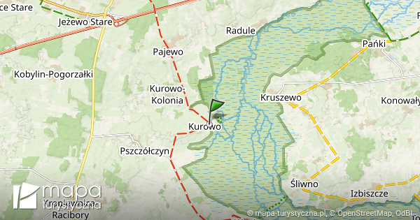 Kurowo - mapa szlaków turystycznych | mapa-turystyczna.pl