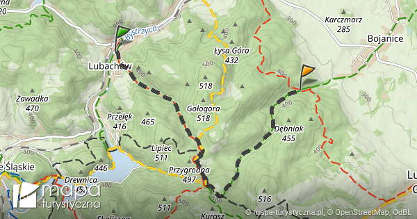 Trasa do: Bojanice, leśniczówka rozwidlenie | mapa-turystyczna.pl