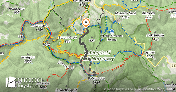 Trasa: Zawoja, Markowa – Zawoja, Markowa | mapa-turystyczna.pl