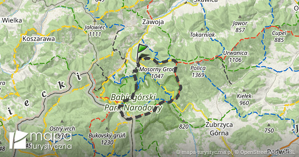 Trasa: Zawoja, Lajkonik – Zawoja, Lajkonik | mapa-turystyczna.pl