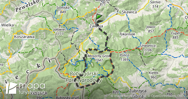 Trasa: Zawoja, Centrum – Zawoja, Centrum | mapa-turystyczna.pl