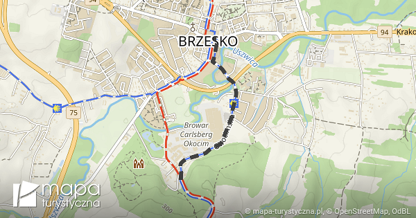 Brzesko, ul. Browarna - Bochnia, kościół św. Jakuba Apostoła | mapa ...