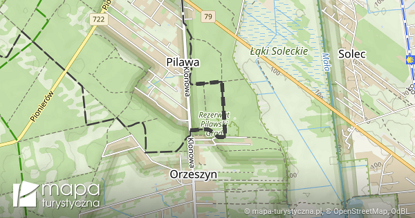 Orzeszyn - Pilawa, pomnik | mapa-turystyczna.pl