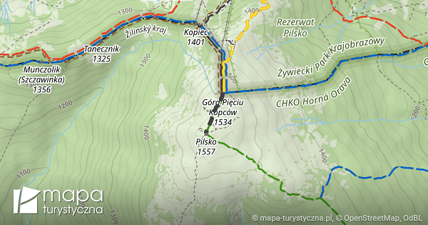 Góra Pięciu Kopców - Pilsko | mapa-turystyczna.pl