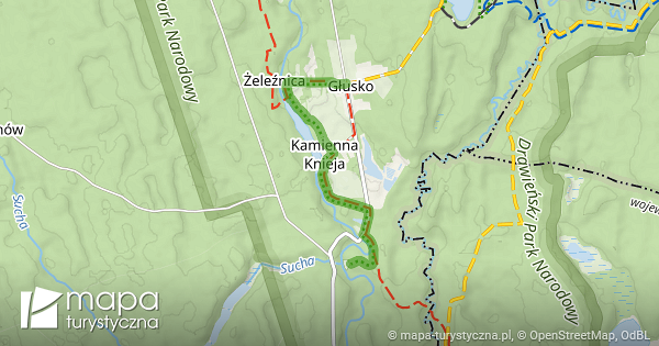 Ścieżka dydaktyczna "Głusko" | mapa-turystyczna.pl