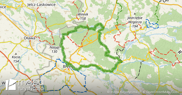 Zielony szlak turystyczny Brzeg, Plac Zamkowy – Brzeg, kanał Odry ...